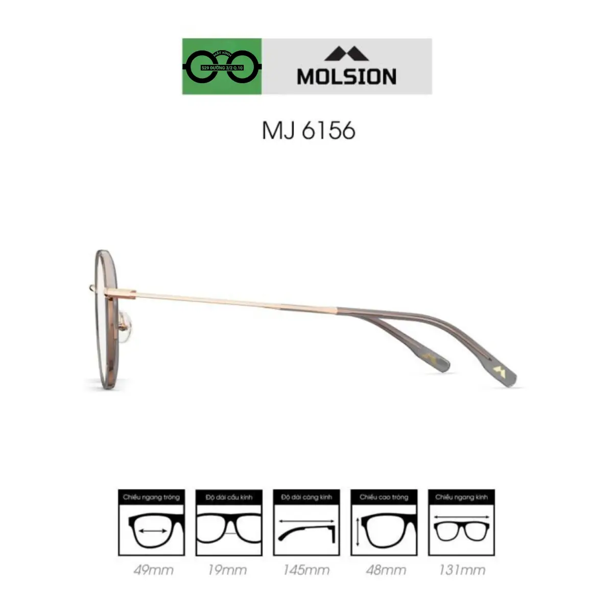 Gọng Molsion MJ6156 - Kính Mắt Điện Biên Phủ